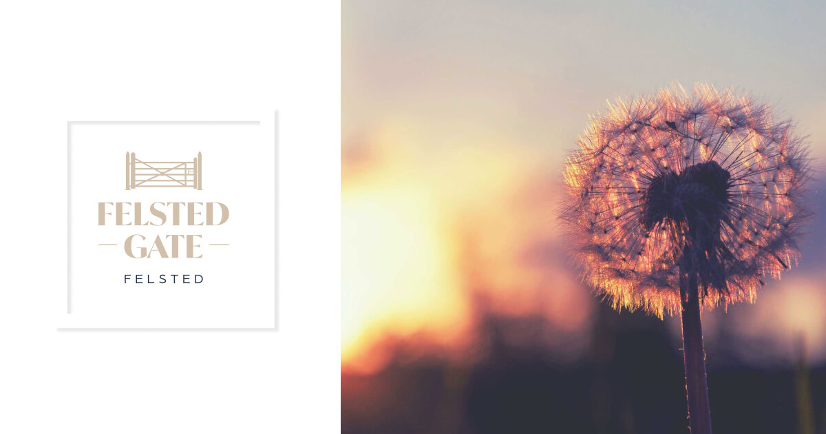 Curo at Locking Parklands